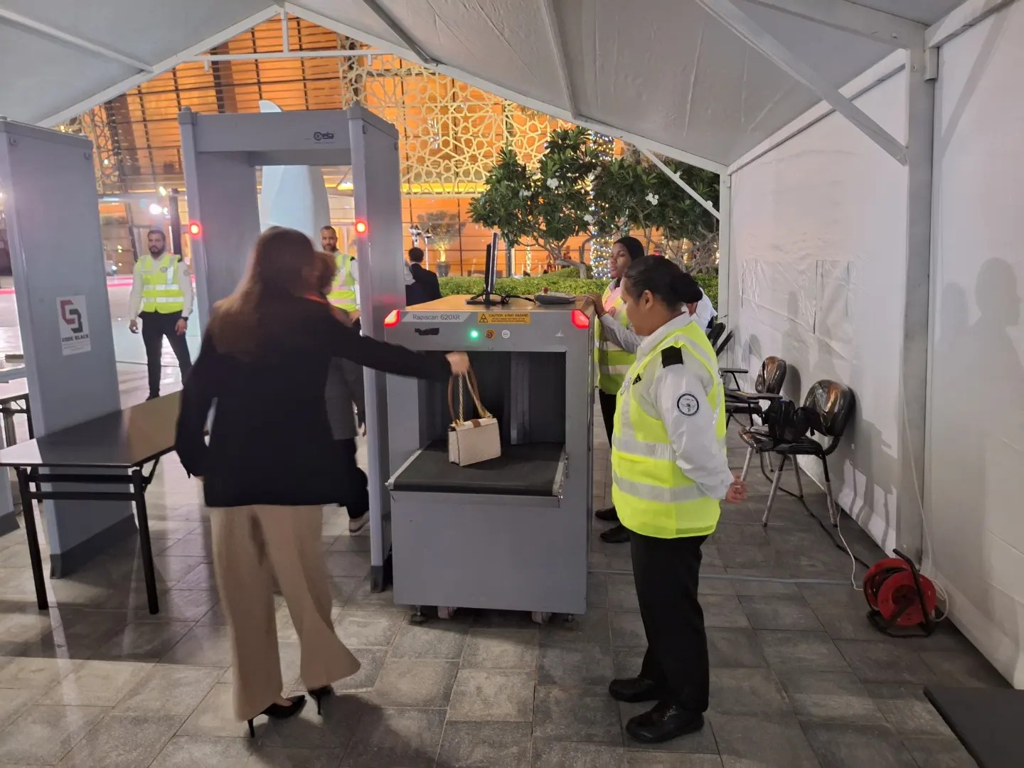 Hemaya Security Services – Safety & Security